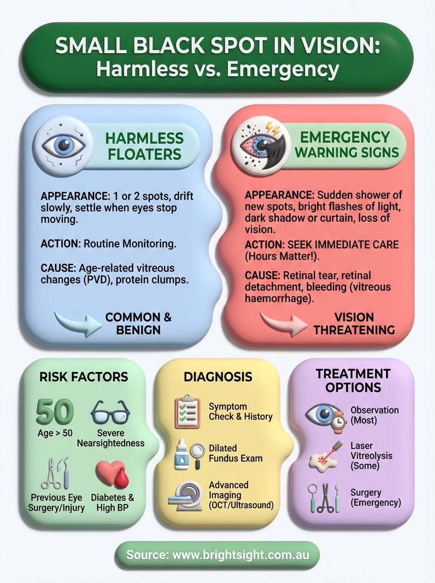 Small Black Spot in Vision: When to Worry and What to Do - Bright Sight ...