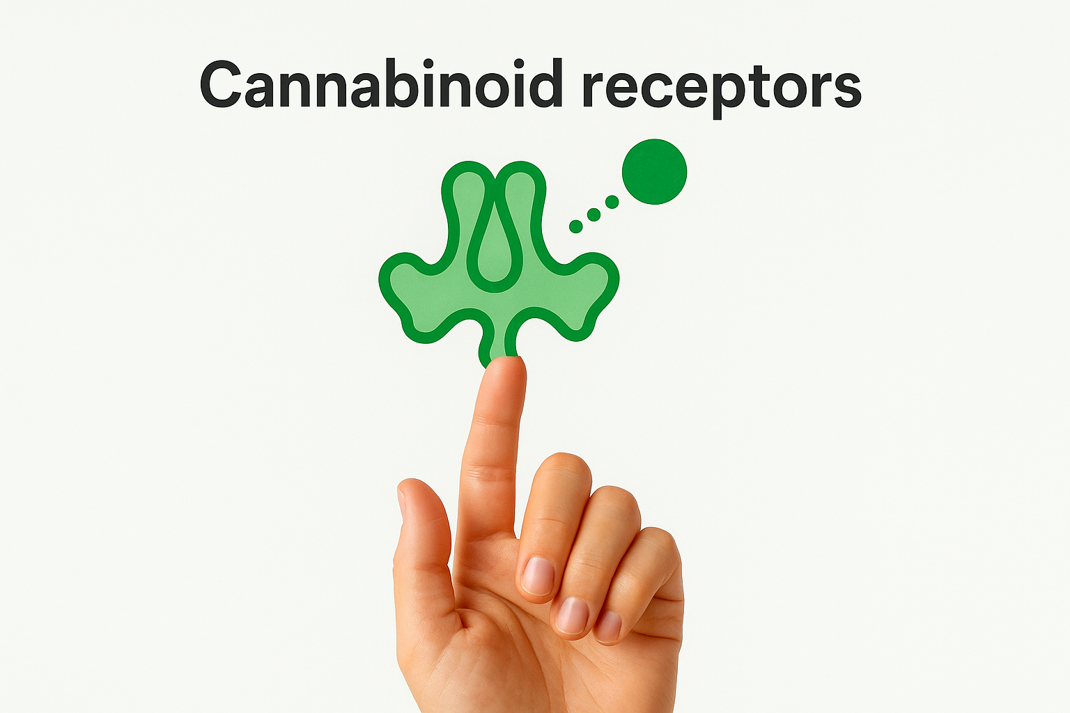 What Is the Endocannabinoid System? How It Works - Legal Weed Guide