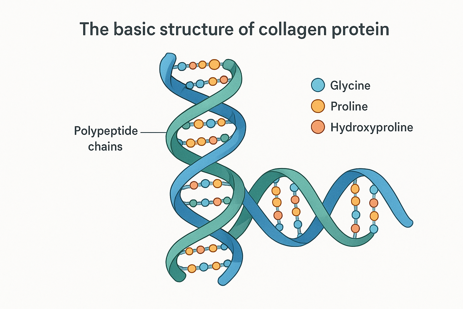 Types Of Collagen Wound Dressings: Sheets, Gels & Powders ...