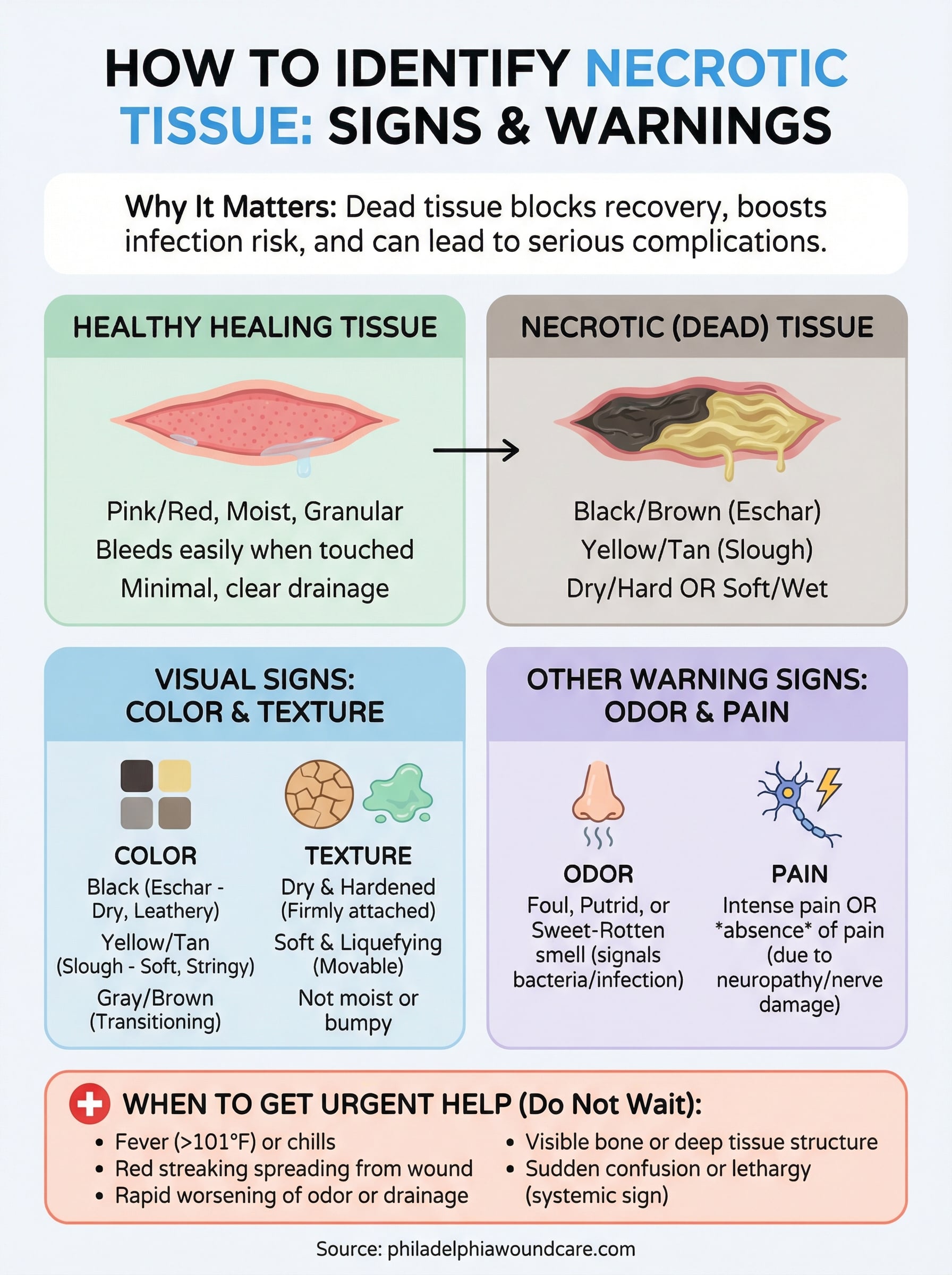 How To Identify Necrotic Tissue: Signs, Color, Odor, Pain ...