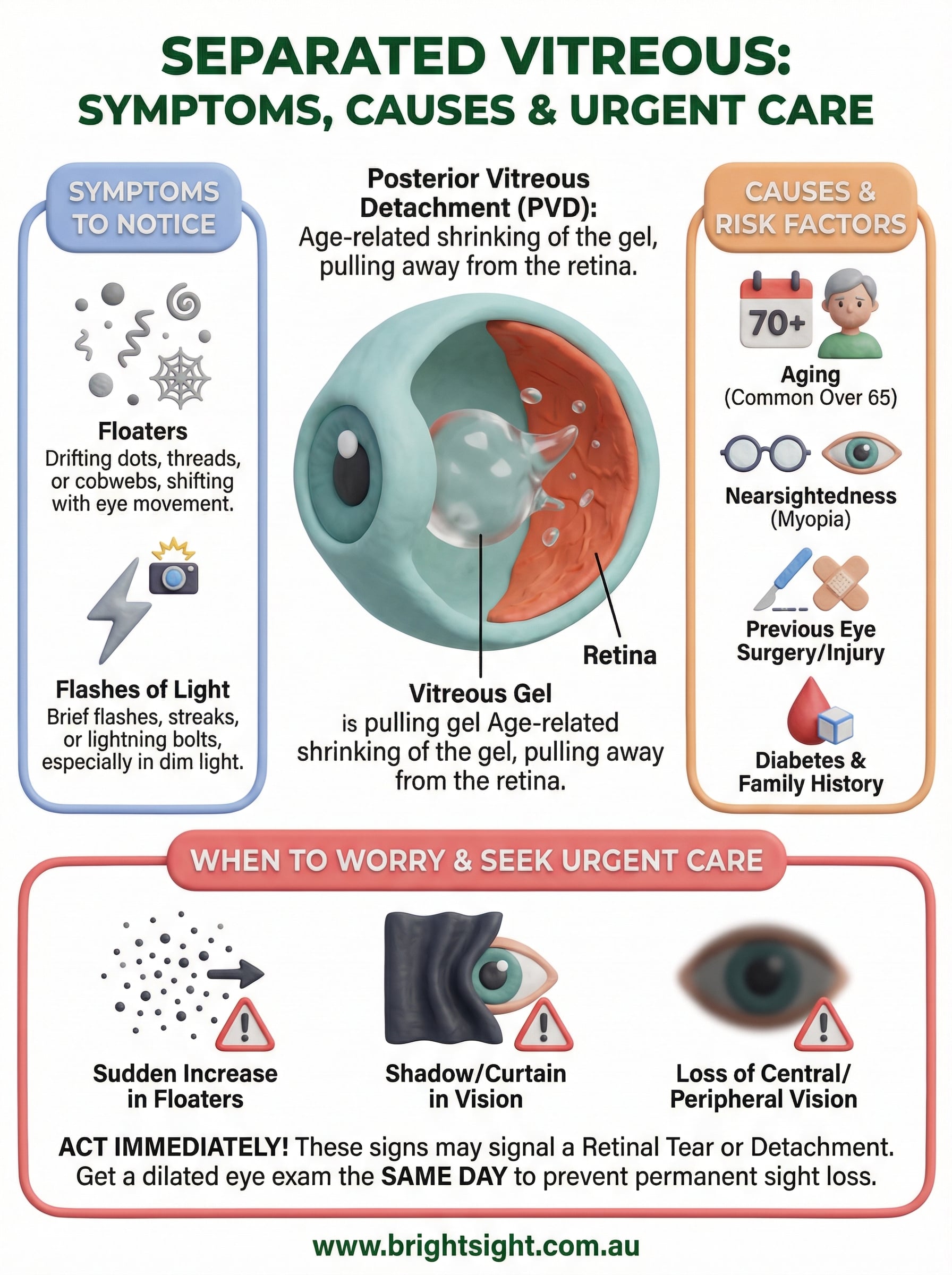 Separated Vitreous: Symptoms, Causes, And When To Worry - Bright Sight ...